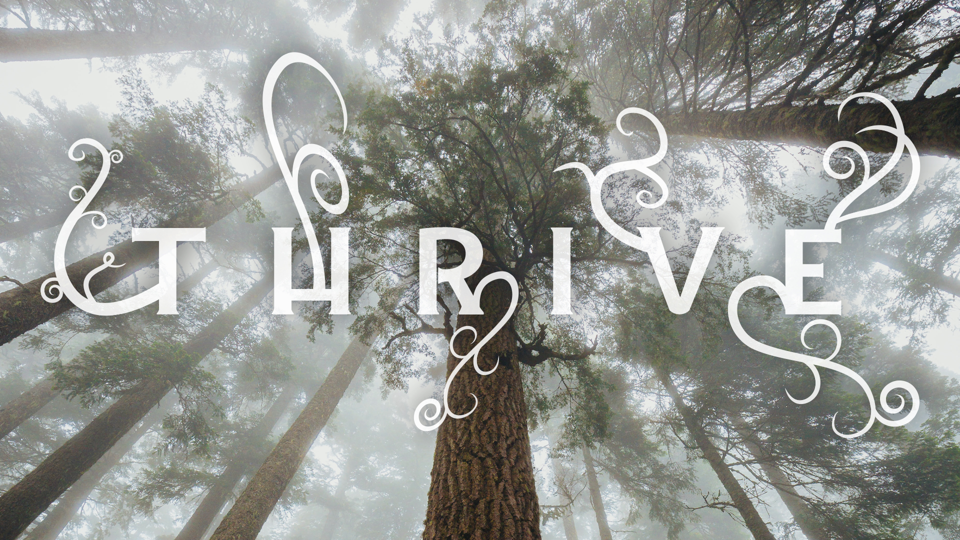 Messages - Crosswinds